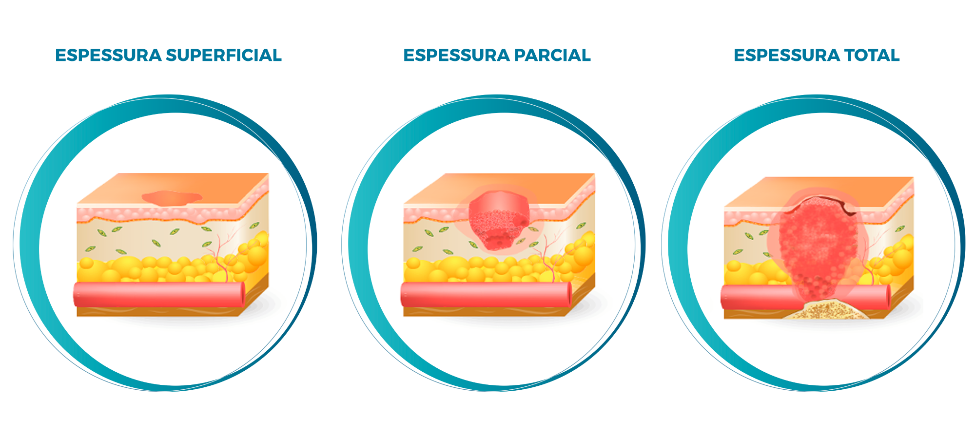 Clínica ConvaCare